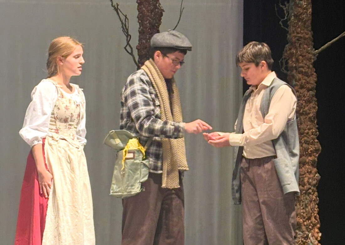 ‘Oh if life were made of moments:’ HARP presents ‘Into the Woods ...